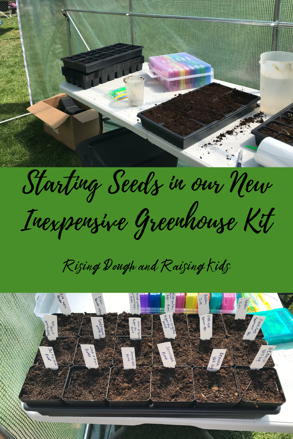 Starting Seeds in our Inexpensive New Greenhouse Kit - Rising Dough and ...